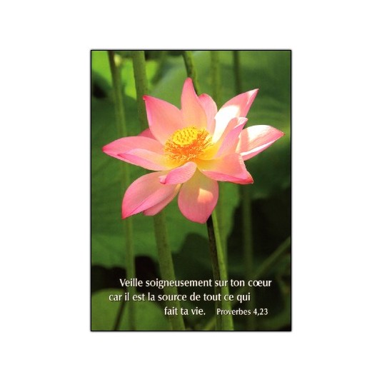 Carte Avec Verset Fleur De Lotus
