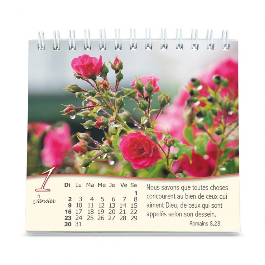 Roses Petit Format - Calendrier GBK 2022