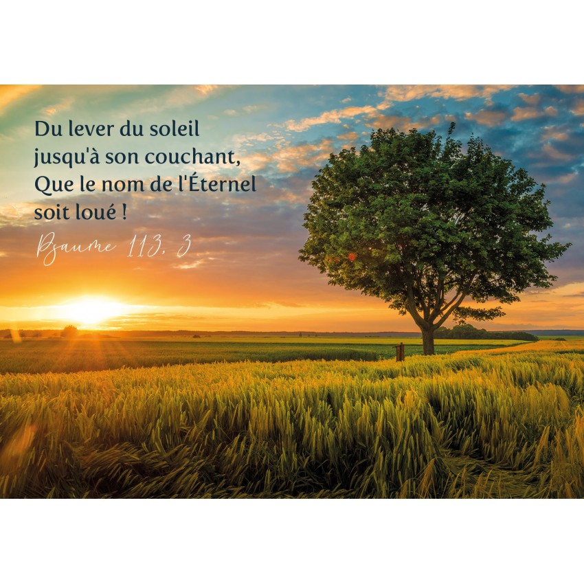 CARTE avec verset Coucher de soleil et arbre