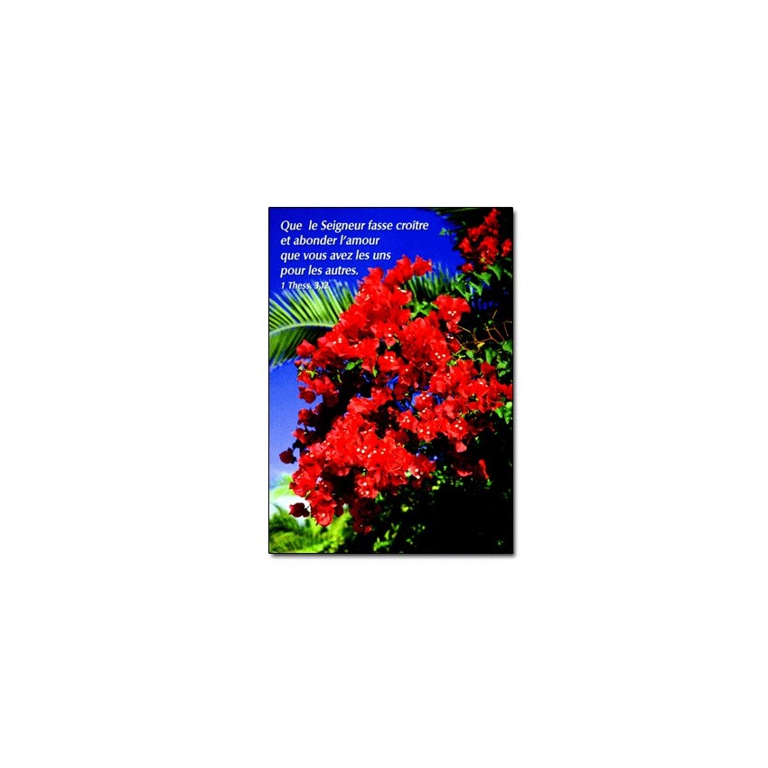 Carte Avec Verset Massif de fleurs rouges