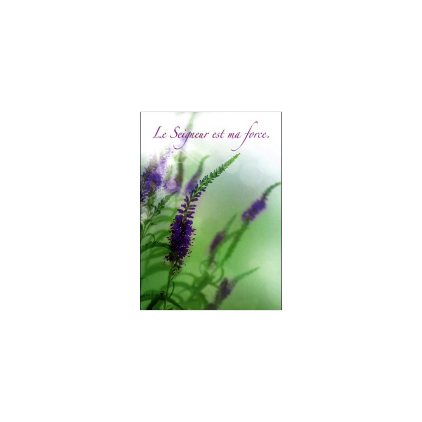 Carte Avec Verset Fleurs bleues