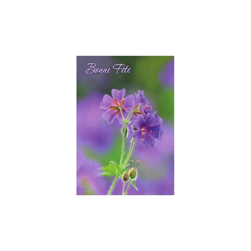 Carte Avec Message primevères mauves (Bonne Fête)
