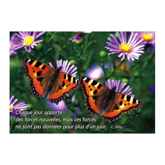 Carte Citation Papillons