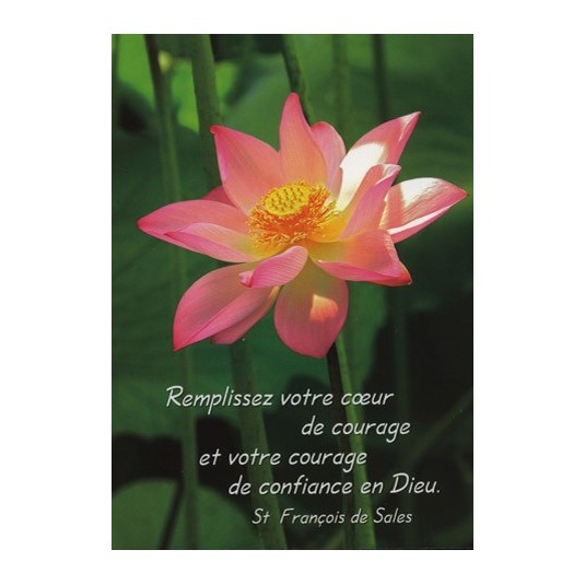 Carte Citation Fleur de lotus