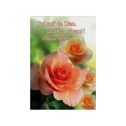 Mini Carte Roses rose