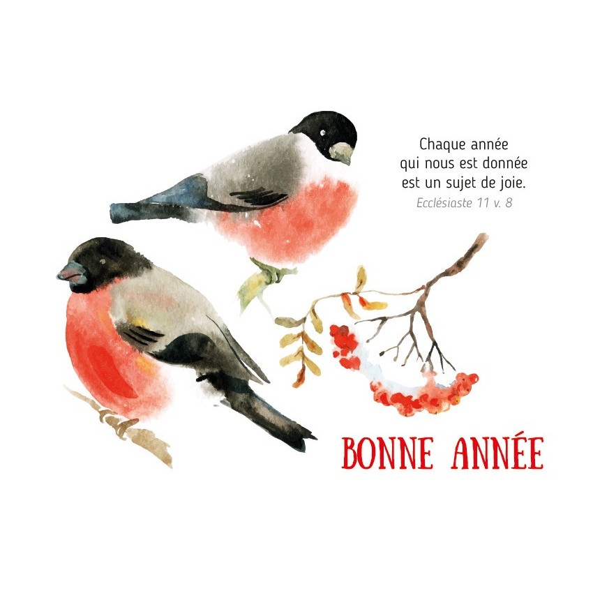 Carte Fa Rouge-gorges (BA)