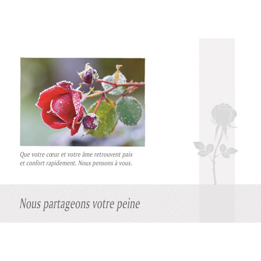 Carte Double Condoléances Rose couverte de givre