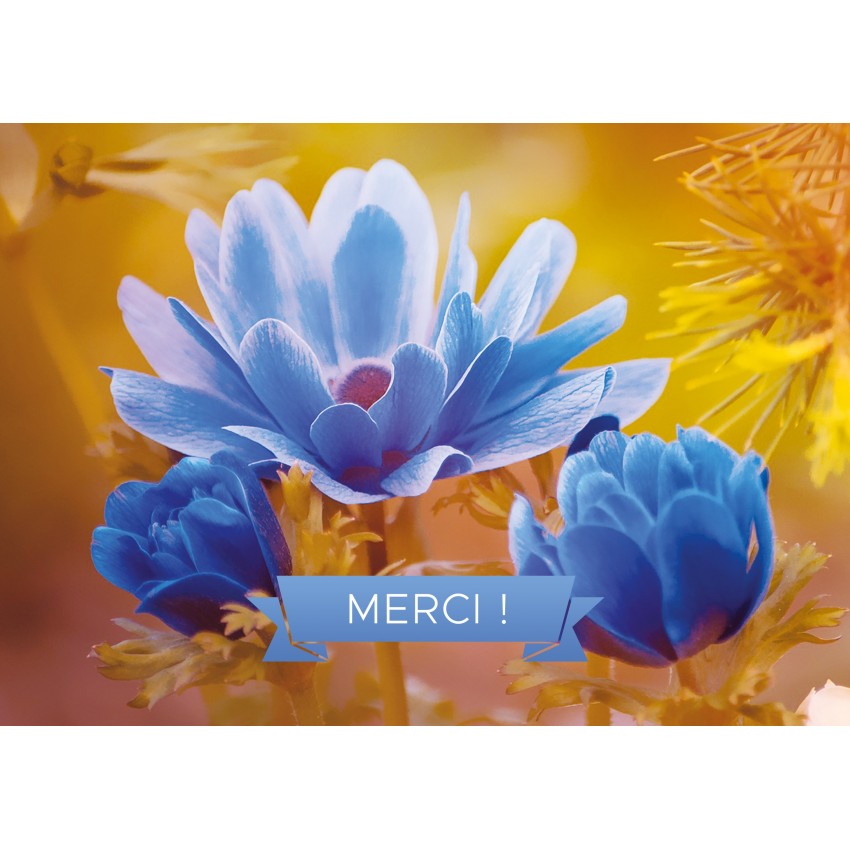 Carte Avec Message Fleur bleue sur fond orange(Merci)
