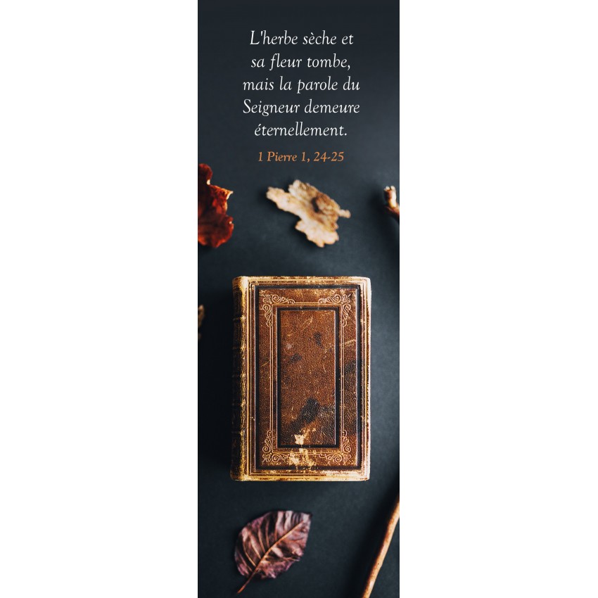 Signet Bible sur une table et feuilles mortes